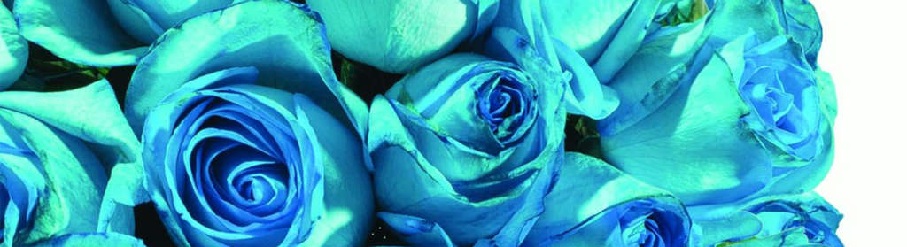 Las rosas turquesas - Arreglos Florales VIKENZO