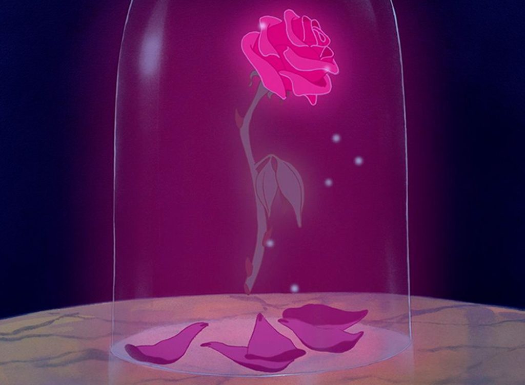 Rosa Eterna en Cúpula de Cristal - Arreglos Florales VIKENZO